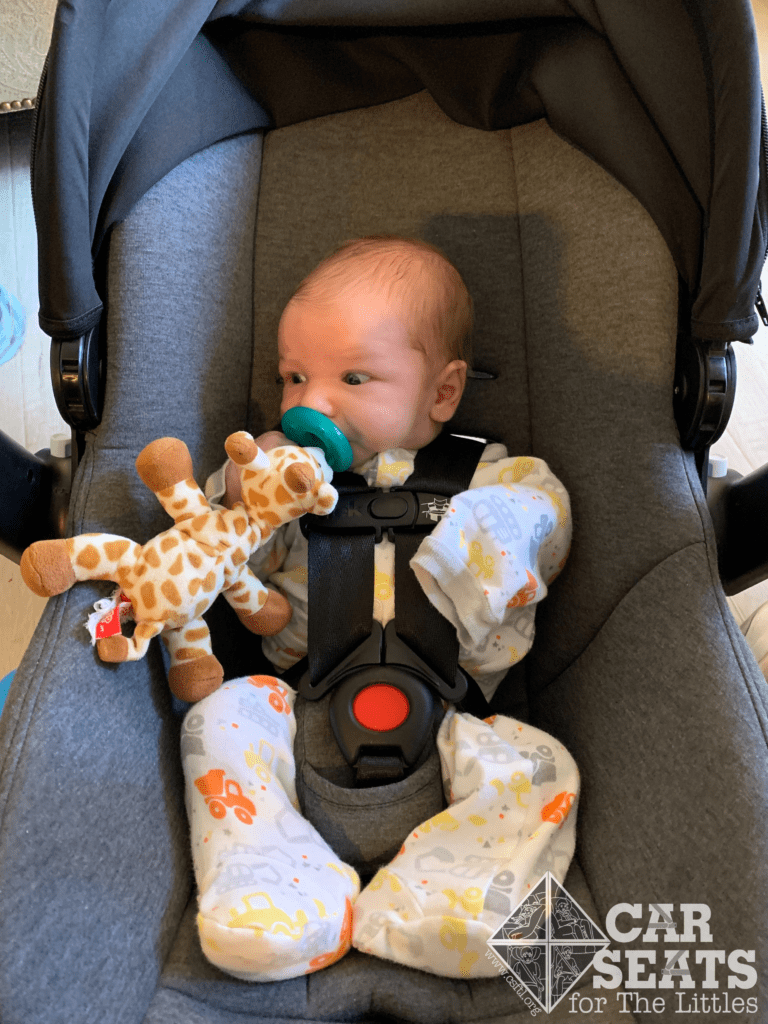 Clek Liing and Liingo Rear Facing Only Car Seat Review - Car Seats For ...