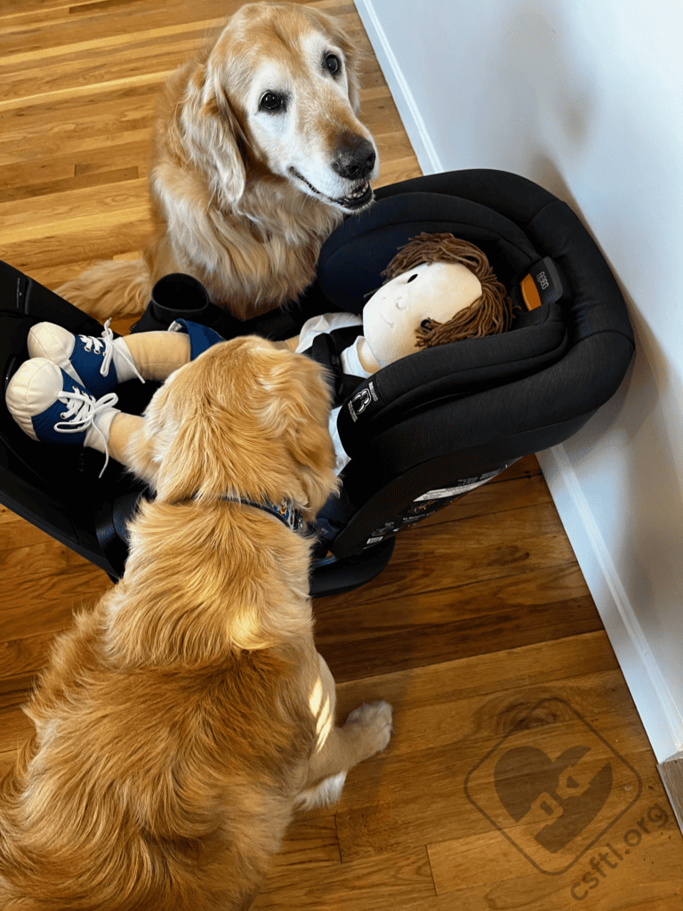 Chicco Fit360 Rotating Convertible Car Seat Review - Car Seats For The ...