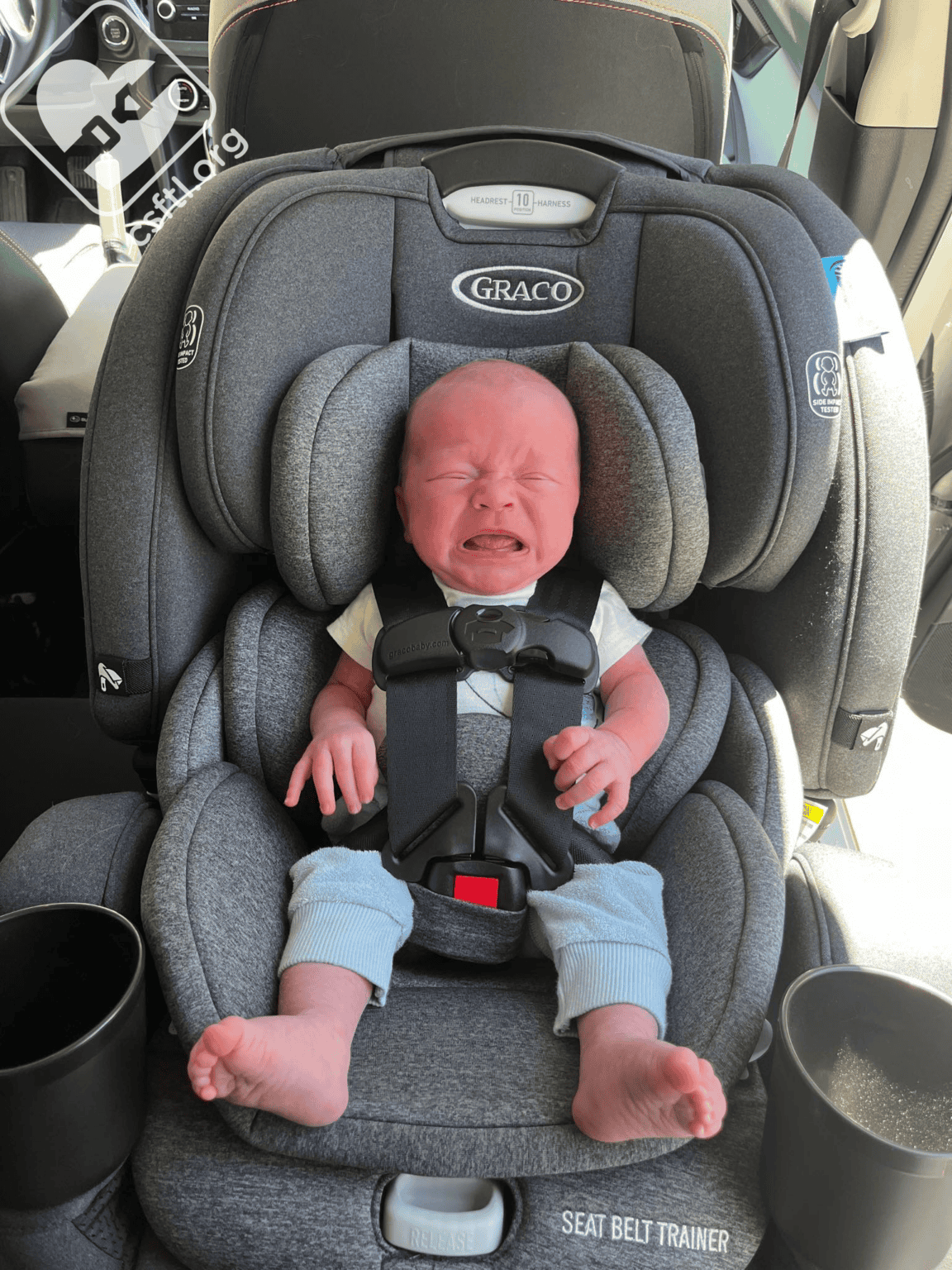 Graco 4Ever DLX Grad Multimode Car Seat Review - Car Seats For The Littles