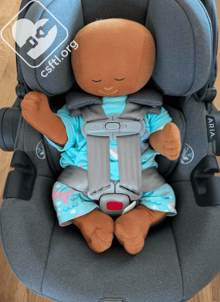 UPPAbaby Aria Rear Facing Only Car Seat Review - Car Seats For The Littles
